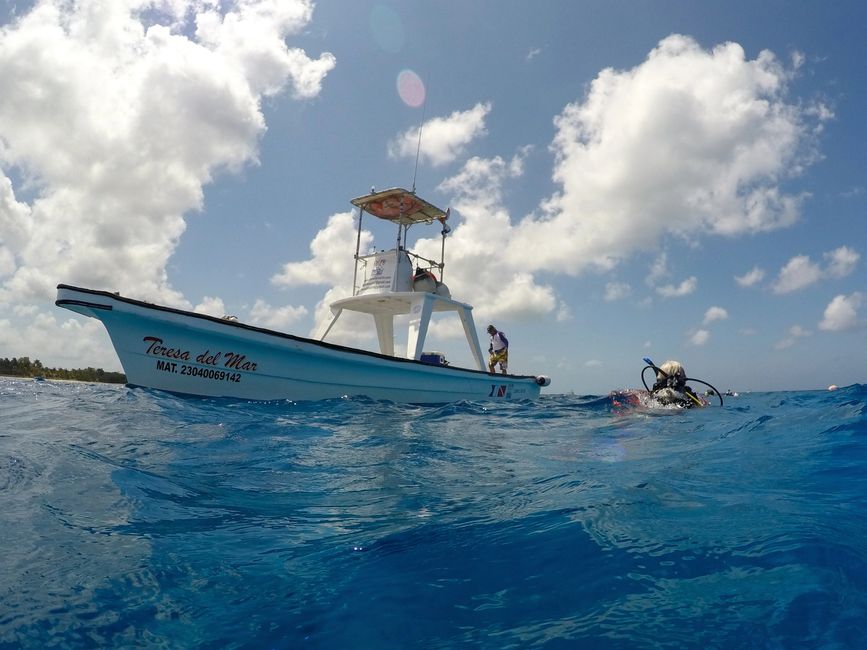 Dive Packages Overview | Dive With Martin