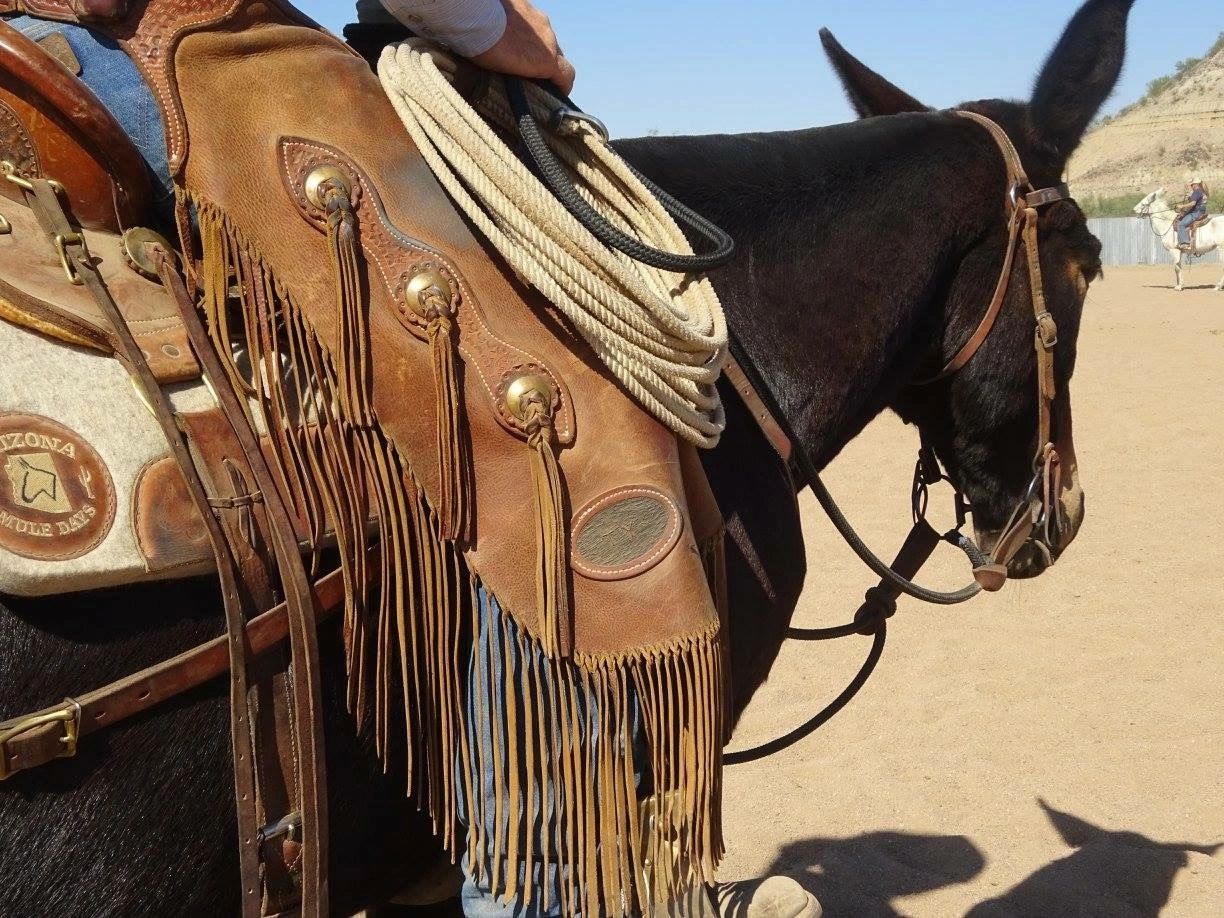 Articles | TS Mules LLC