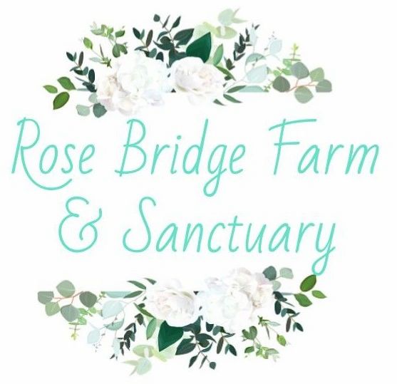 Rose Bridge Farm & Sanctuary - Calf Cuddling, Goat Snuggling