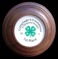 Clay Target Trophies | Trophy Buckle Awards