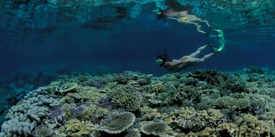 Walindi Plantation Resort - Kimbe Bay, Papua New Guinea