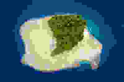 Walindi Plantation Resort - Kimbe Bay, Papua New Guinea | Walindi ...