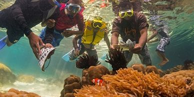 Walindi Plantation Resort - Kimbe Bay, Papua New Guinea