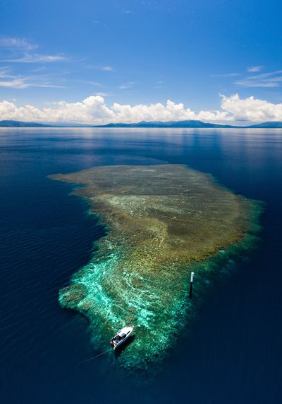 Walindi Plantation Resort - Kimbe Bay, Papua New Guinea | Walindi ...