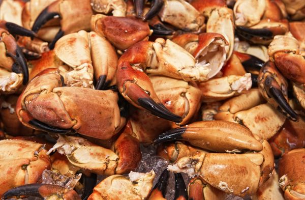 Jonah Crab Claws 2lb