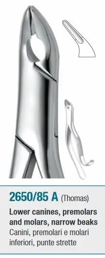 Clearance Sale: 2650/85-A (American No. 85-A) Extracting Forceps Thomas