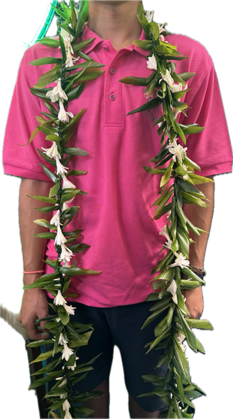 Large TI Leaf Maile lei Style with Tuberose | The Orchid Design Florist ... Large TI Leaf Maile lei Style with Tuberose | The Orchid Design Florist ...