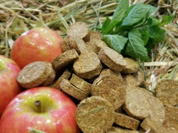Apple Mint & Oaten Hay Cookie (20 pcs)