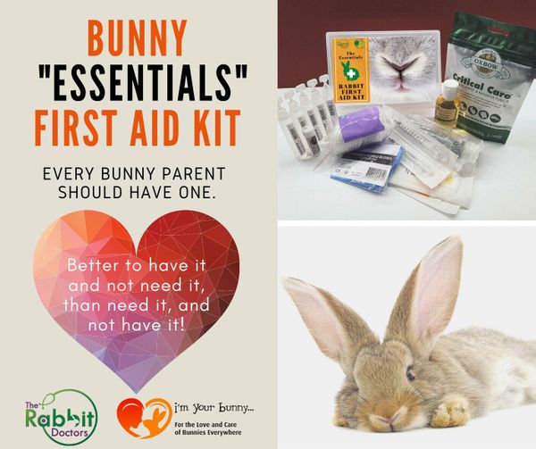 "Essentials" Rabbit First Aid Kit by The Rabbit Doctors & I'm Your ...