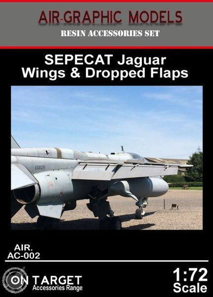 AC-002 SEPECAT Jaguar wing and dropped flaps