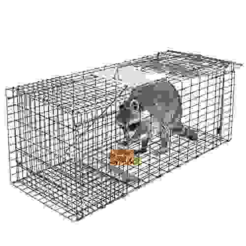 s.o.s. Animaux. - Capture Et Relocalisation - Québec, Québec | s.o.s ...