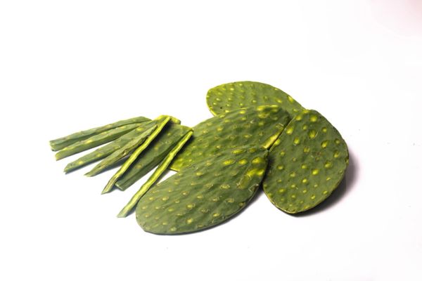 Nopal Limpio