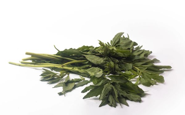 Albahaca Manojo .100 gms