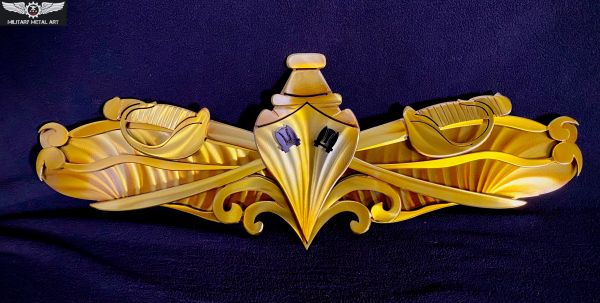Surface Warfare Officer Pin