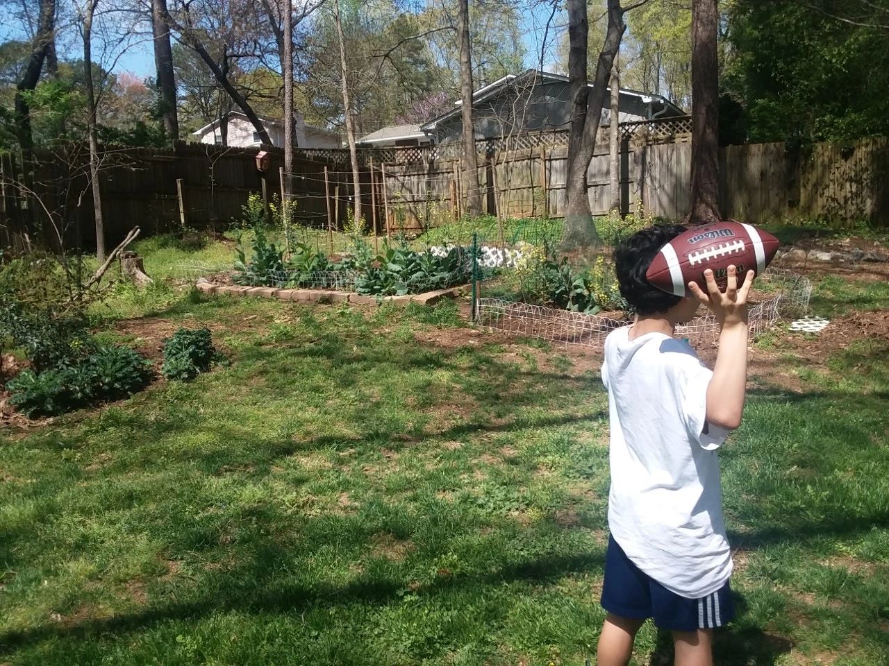 Big Backyard Not so Bad in Pandemic
