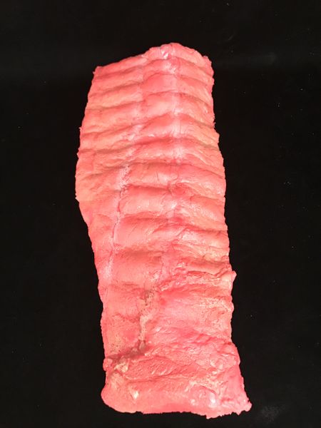 Baby Back Ribs | Replica Food ...Fake Food...Display Food...Artificial Food