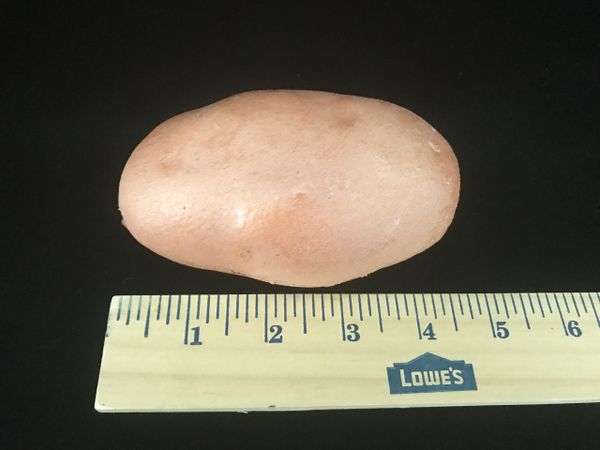 Potato | Replica Food ...Fake Food...Display Food...Artificial Food