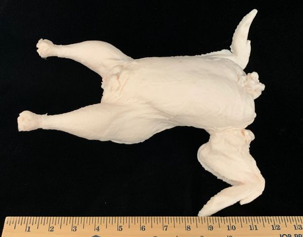 Whole Raw Chicken Ready for Processor | Replica Food ...Fake Food ...