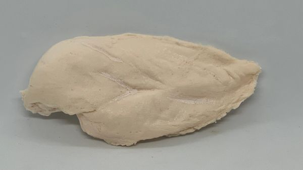 Chicken Breast Processor Cut Boneless Raw | Replica Food ...Fake Food ...