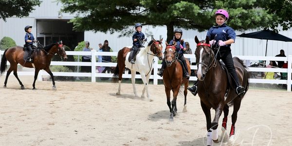 Cape Cod Equestrian Center - Riding Lessons, Training