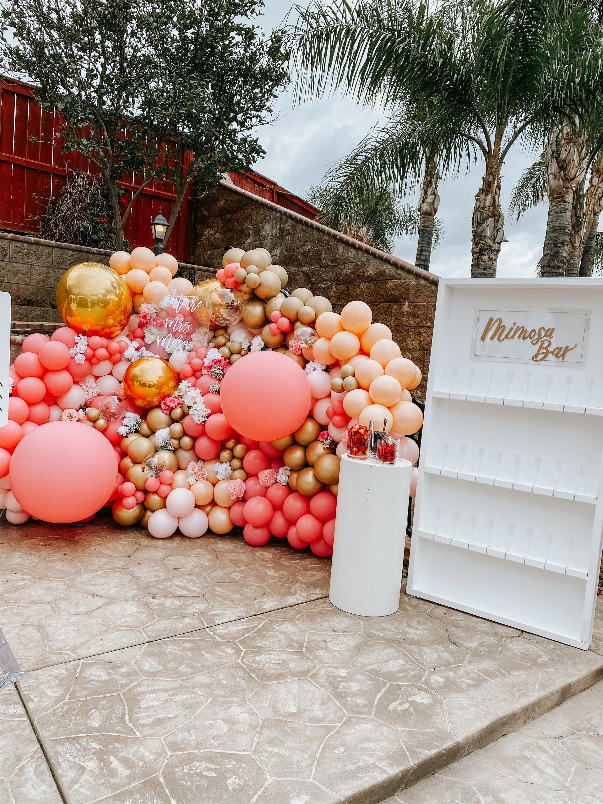 The balloon cart co | The balloon cart co