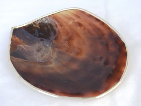 Large Pen Shell with Sterling Silver Trim