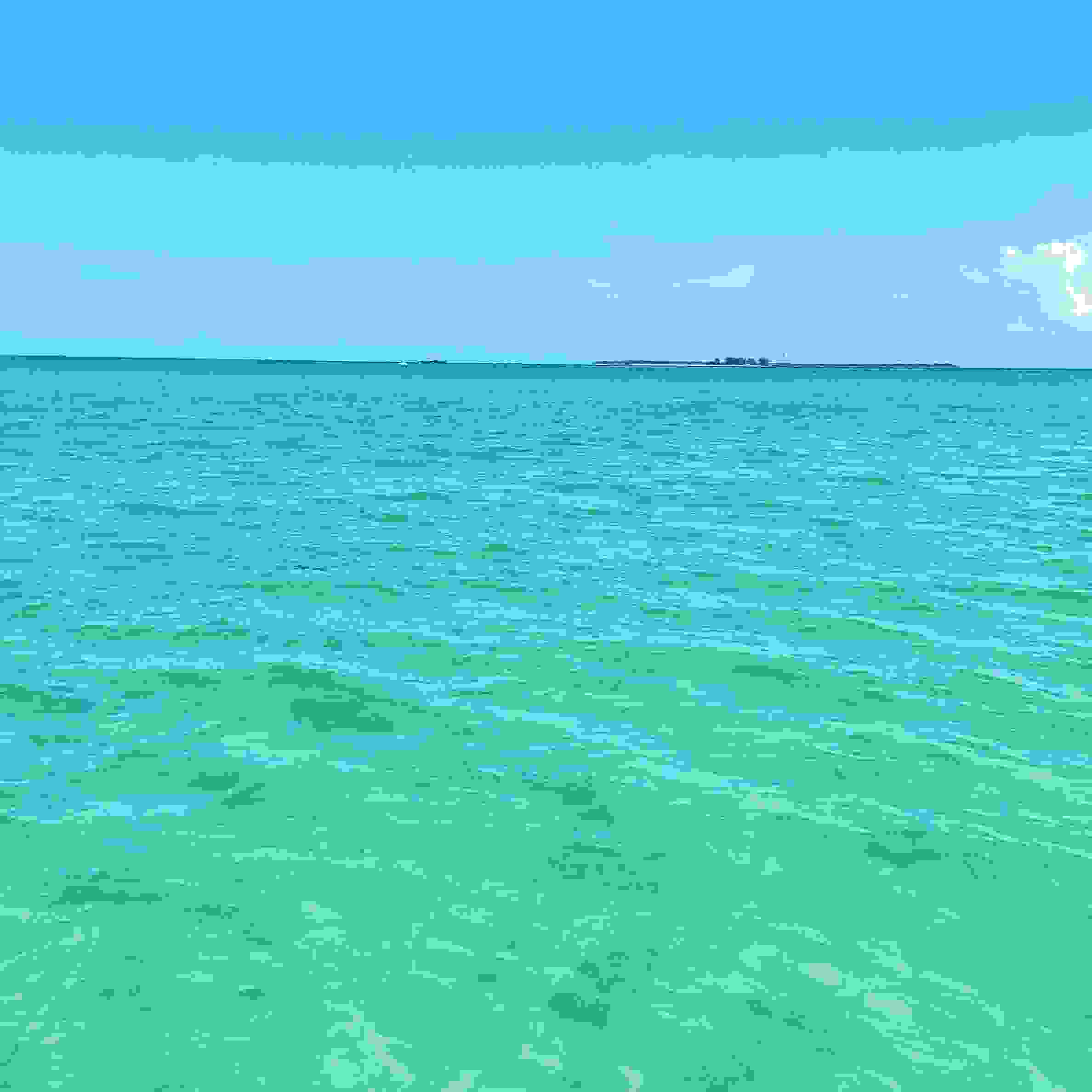 Aqua Sol Adventures - Boat Rental - Gulfport, Florida