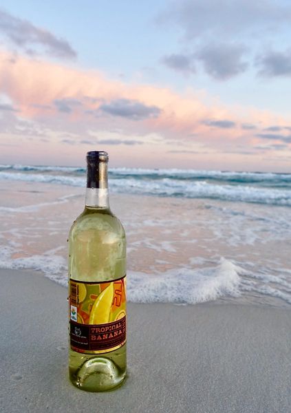 Banana (Florida Banana)