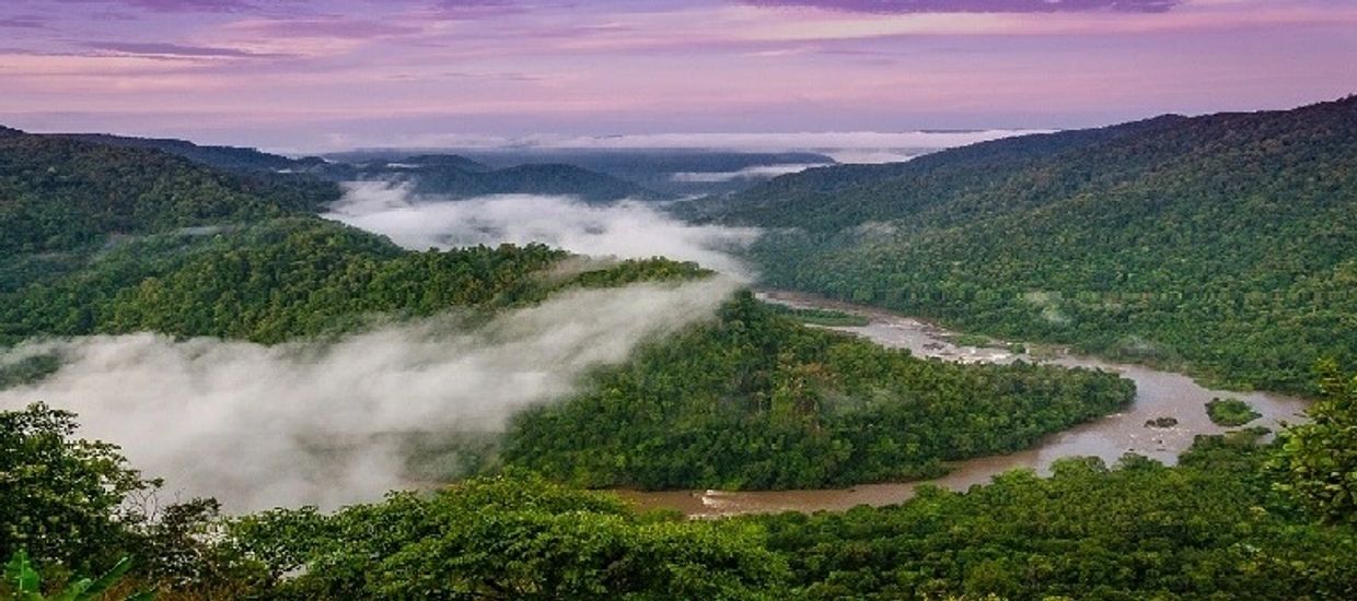 Kingfisher Dandeli Jungle Stay, Joida Resorts | Joida resort | Dandeli ...