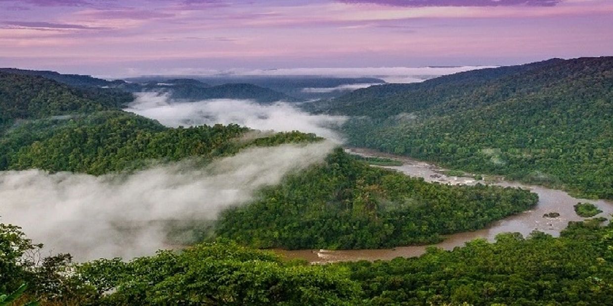 Dandeli Jungle Resorts | Joida Resorts | Dandeli forest resort ...