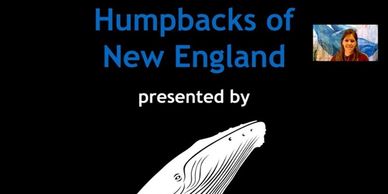 The Whalemobile - Enrichment Program, Whale Education