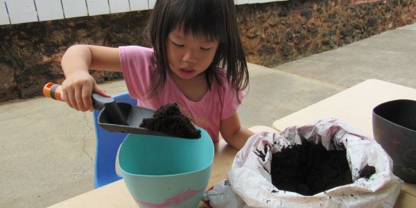 The Toddler Program - Preschool - Honolulu, Hawaii