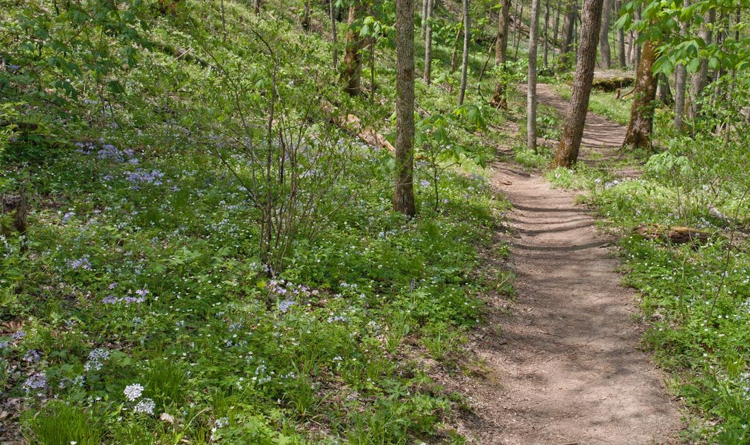 Trails | Raven Run Nature Sanctuary