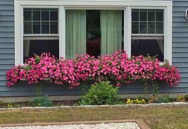 Custom Window Boxes for Long Windows | WindowBoxes.com