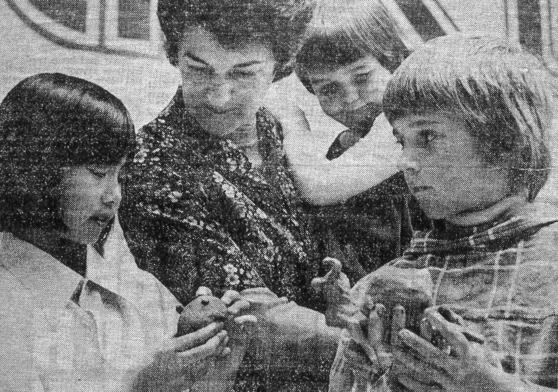 home [jamesangus.net]