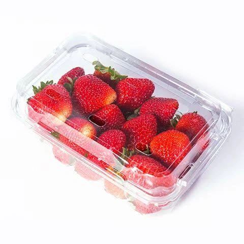 Fresa Domo 500gr