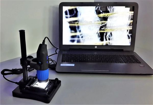 USB Digital Microscope