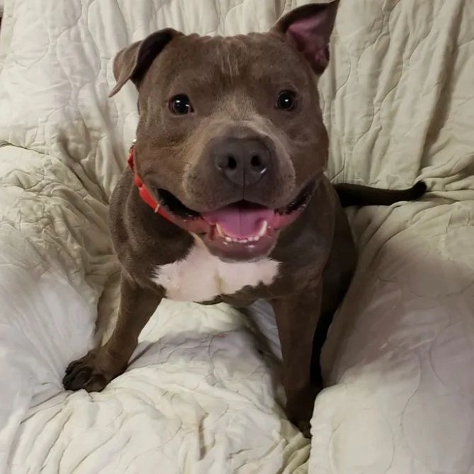 Humane Society of Calvert County