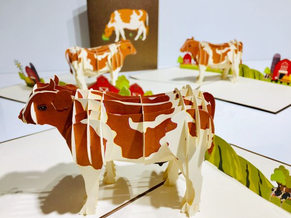Australian Cow in Brown & White Pop Up Card