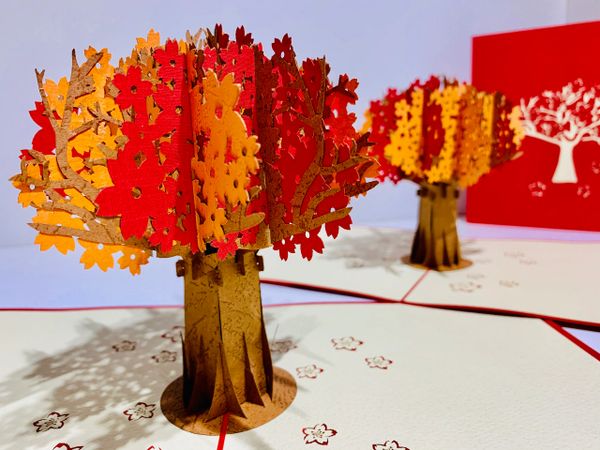 Sakura Cherry Blossom Tree in Orange/Red Autumn Colours