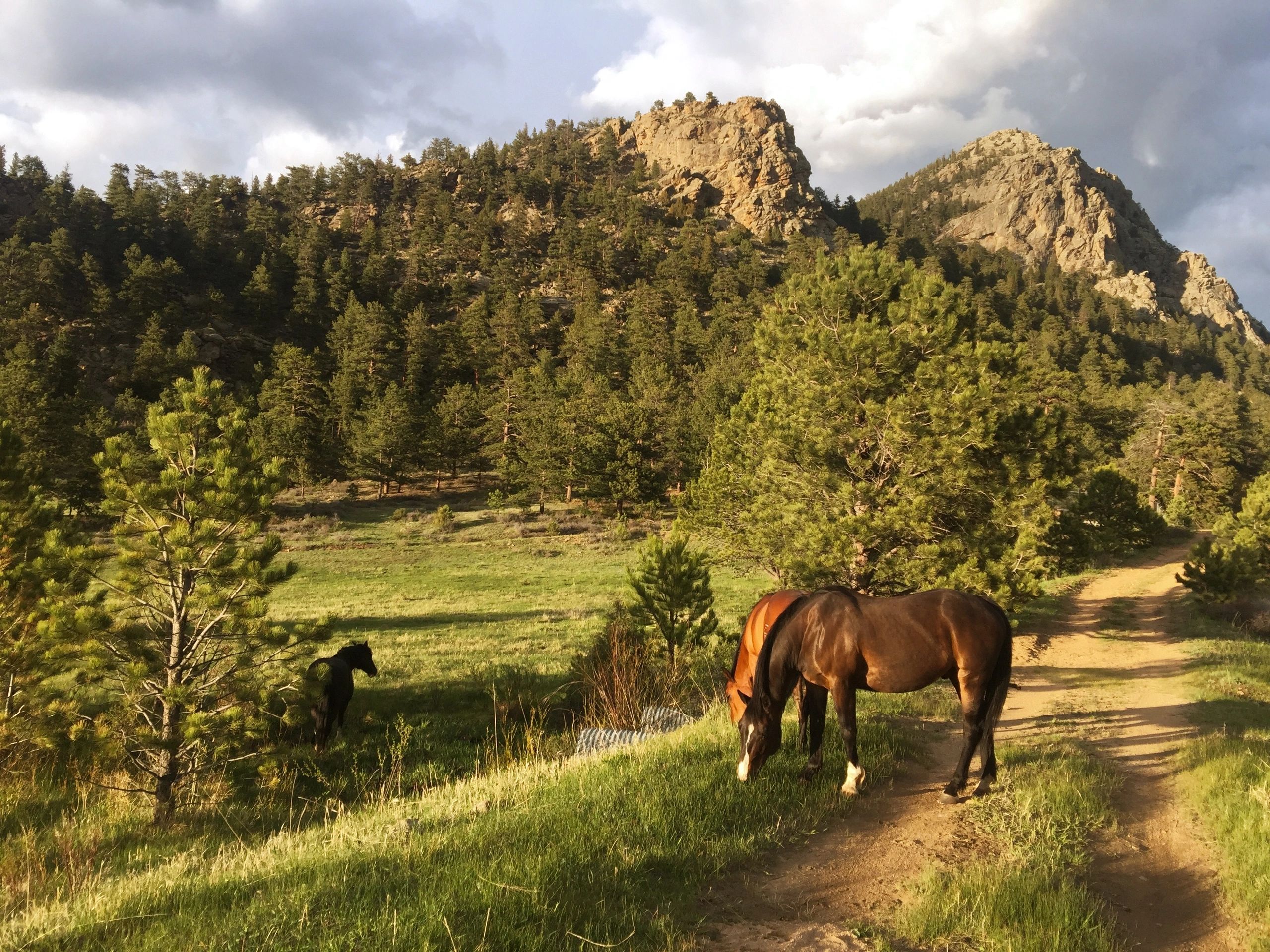 Home [crockerranchep.com]