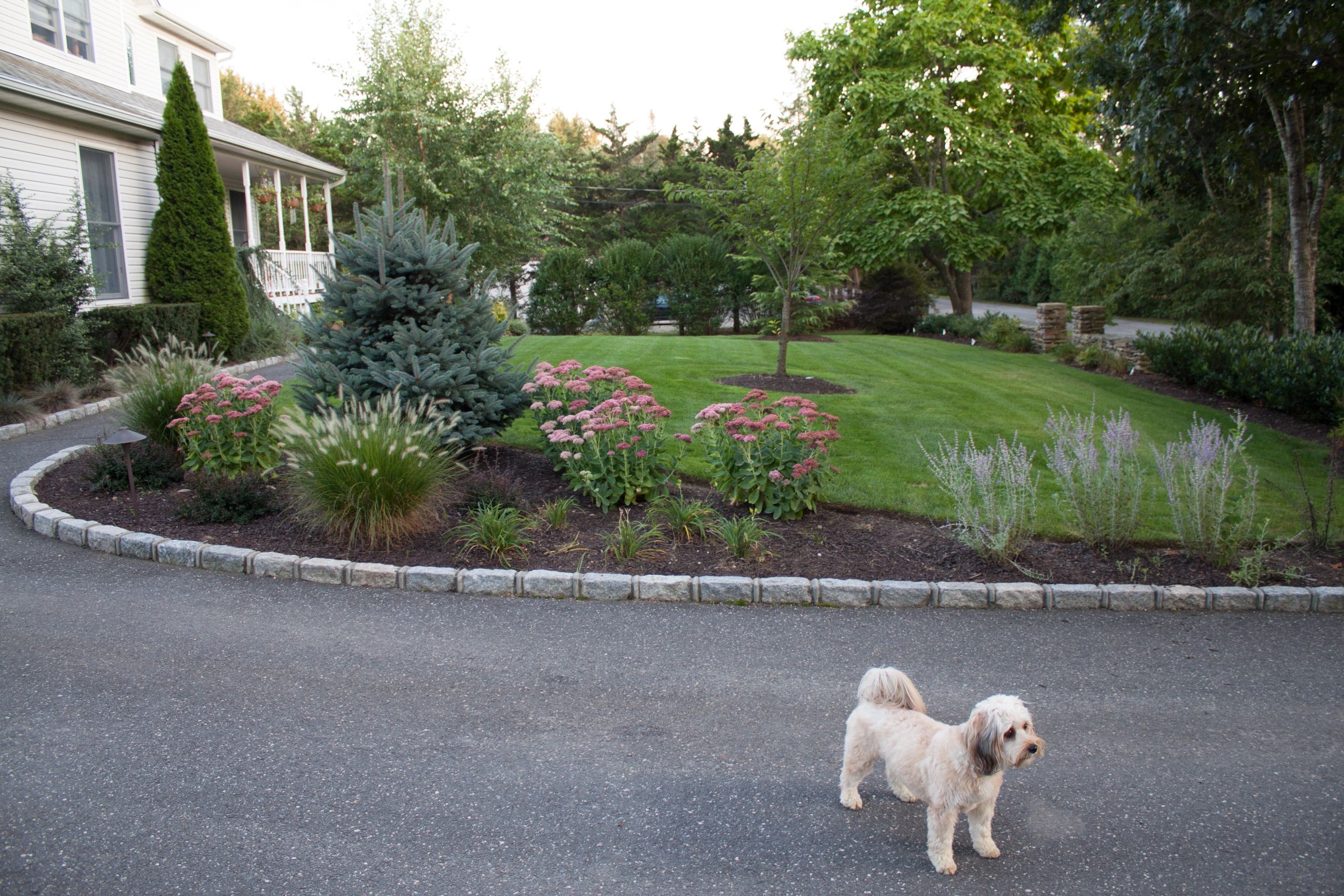 Servicing the hamptons and the north fork, landscaping - Bellflower ...