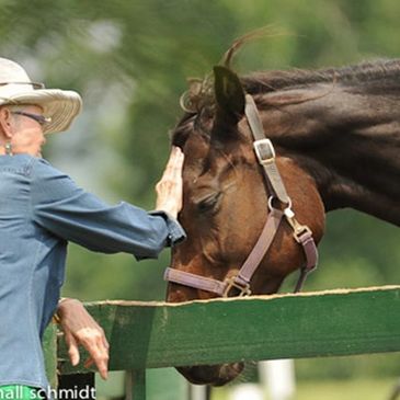 Volunteer | Aiken Equine Rescue