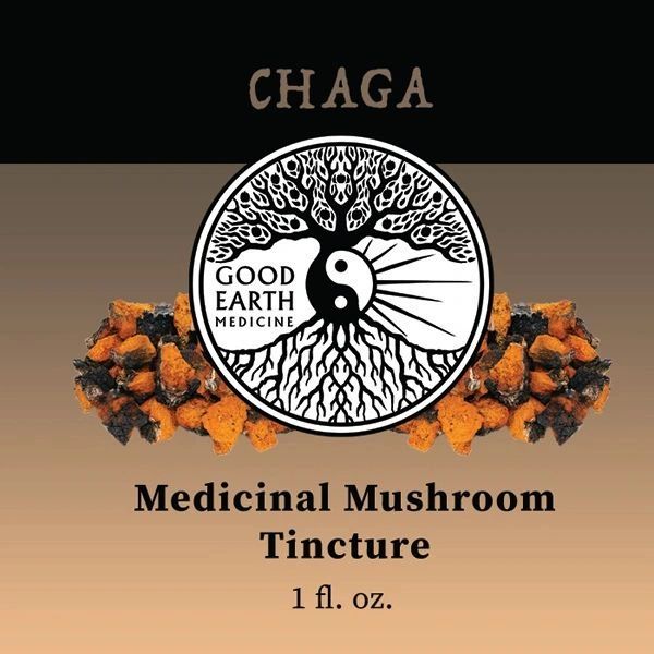 Chaga: King of Mushrooms