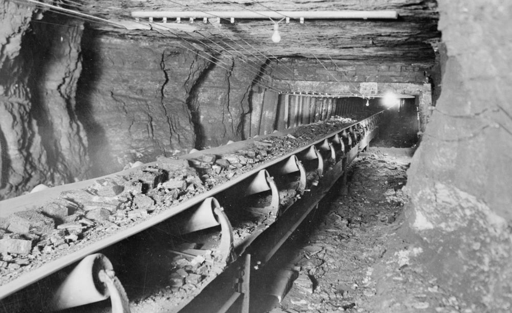 Circular Solutions - Conveyor, Rip Tear