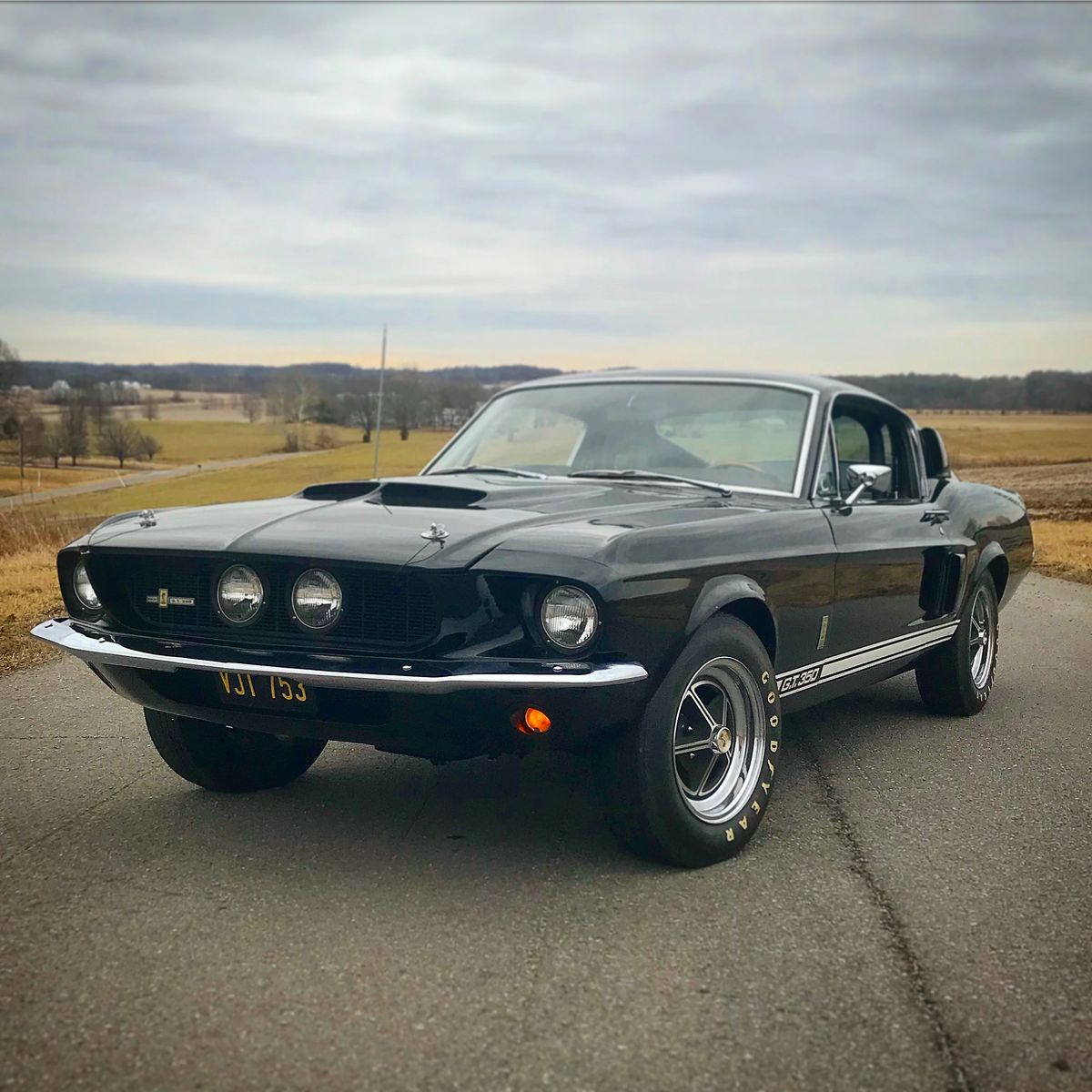 SEMO Classic Mustang
