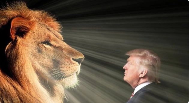 TRUMP's Plan is BRILLIANT! Cognitive Dissonance