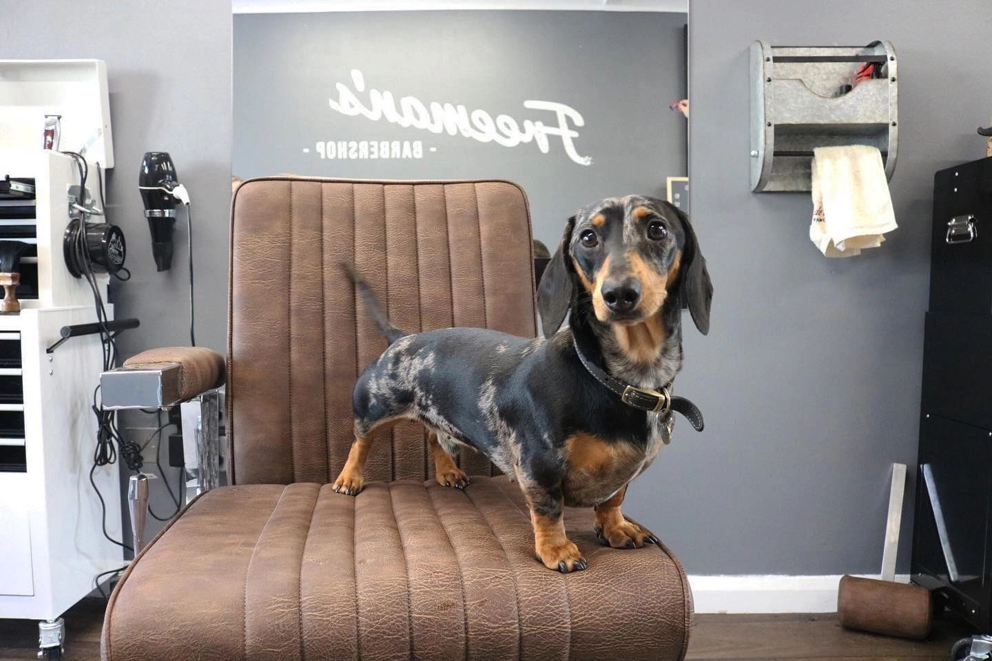Freeman’s Barbershop - Barbers, Helston