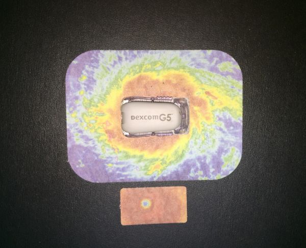Hurricane Design Silly Patch to Secure All Diabetic devices | Adhesive ...