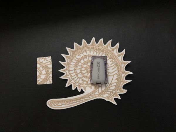 Ammonite design Patch to Secure All Diabetic devices | Adhesive Silly Patch to Secure CGM Sensor ...